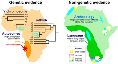 2 - 3 million years ago the first humans lived in Africa.