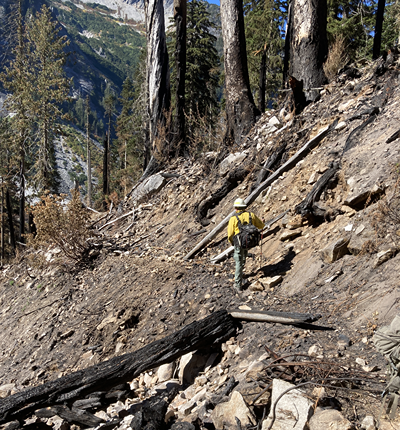 Assessing the damage to a trail after wildfire. NPR