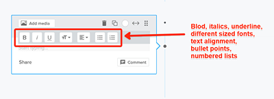 Text Editing Options