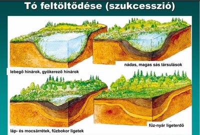 Feltöltődéssel: