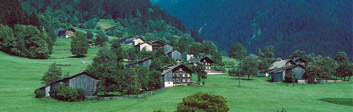 To print the story please do so via the link in the story toolbar.