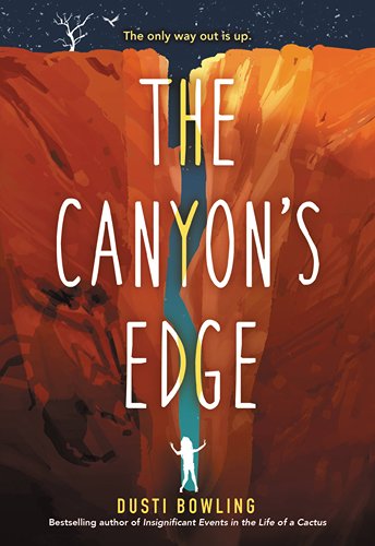 About the book