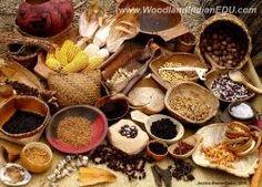 Some of the food that the southeast Indians ate