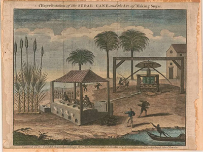 Colonial Sugar Cane Manufacturing