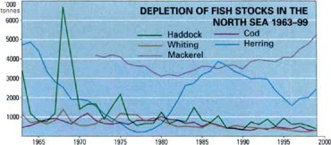 Graph shows the depletion in Fish stocks in the North Sea between 1963-1999