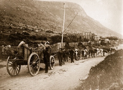 African Wagon . [Photographer]. Retrieved from Encyclopædia Britannica ...