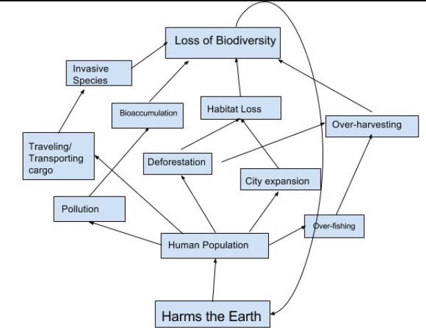 A chain chart
