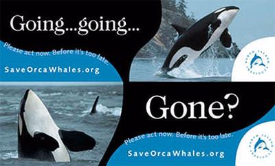 Save the environment