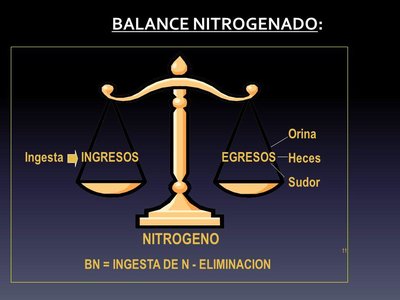 Durante el crecimiento este balance puede ser positivo o negativo.