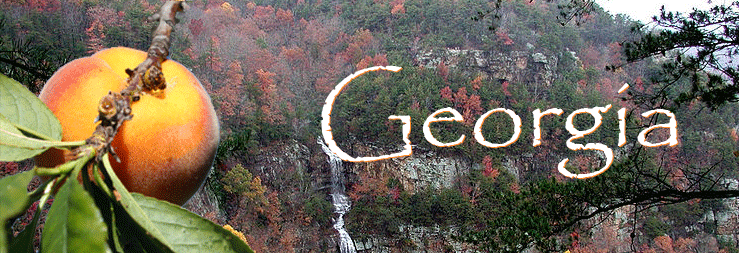 Georgia Steel Buildings