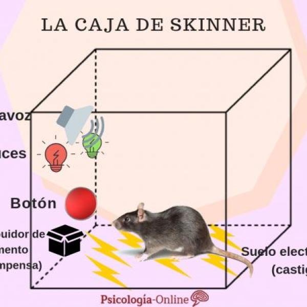 La caja negra y Skinner