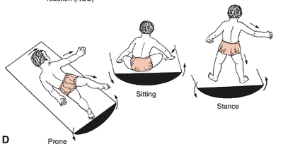 Equilibrium reactions