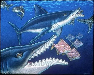 La Evolución de condrictios implica cambios en la alimentación y el ...