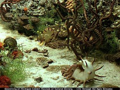 This is a picture of the bottom of a Cisuralian sea.