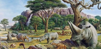 Paleogene Period (65 Million Years Ago)