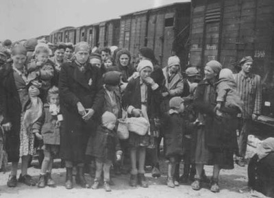 Jews being separated and lined up for Auschwitz ("ushmm").