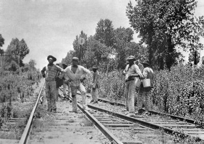 Convict laborers on railroad tracks in Volusia County, circa 1914 ...