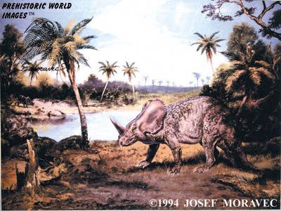 The Cretaceous Period