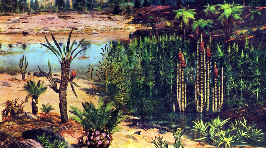In the Mesozoic era the types of plants were redwoods, yews, pines ...