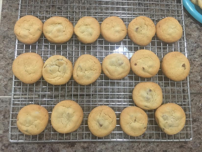 All the cookies baked at 375 degrees for 10 minutes (the control group).