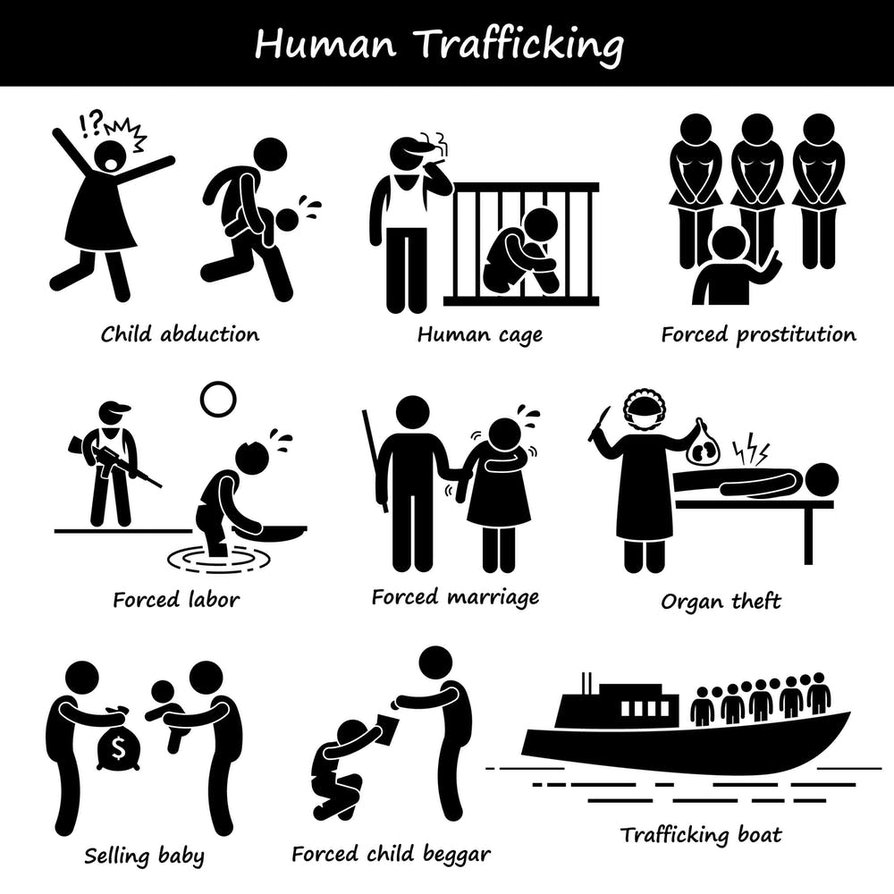 the Various types of human trafficking