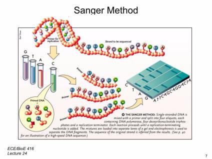 Sanger Method. (2016). Retrieved on April 25, 2016 from https://nanohub ...