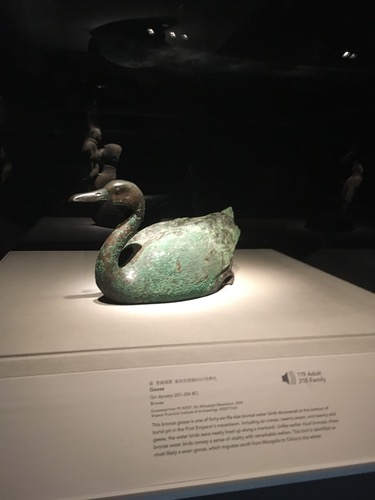 One of the birds from the First Emperor's mausoleum