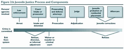 A flowchart of the the process followed in the juvenile justice system
