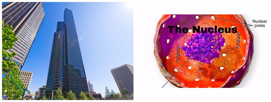 (Left) Columbia Tower (Right) Nucleus