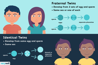 Identical Twins Identical Twins