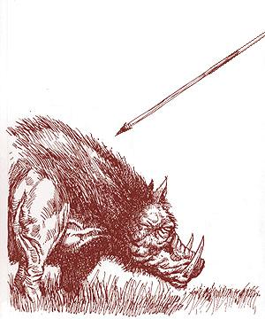 Ch 7 Shadows and Tall Trees