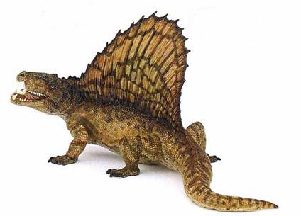 http://www.extinctanimals.org/dimetrodon.htm