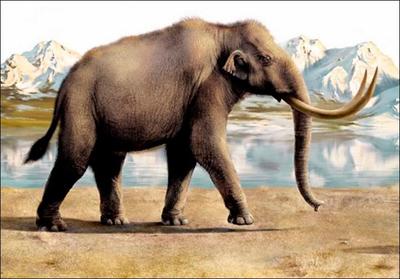 Steppe Mammoth