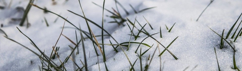 Boglárka Juliánna Orbán