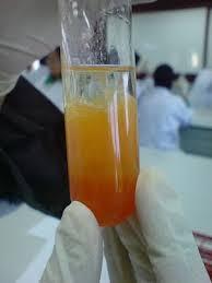 Papaya DNA (extracted)