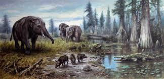 Phanerozoic Eon, Cenozoic Era, and Tertiary Period 65 MYA. Diversity of ...