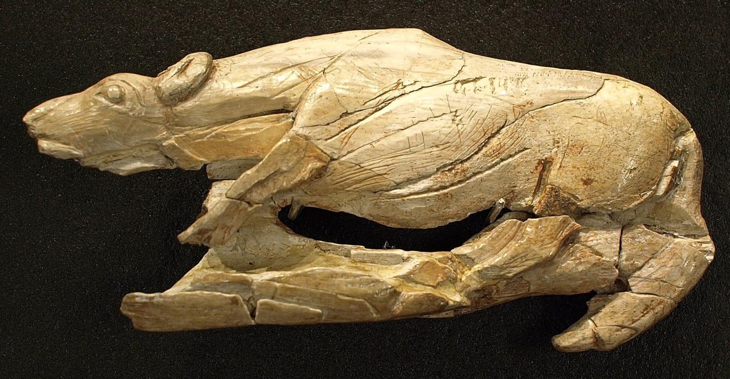 Paleolithic Sculpture