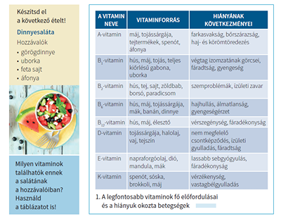 Tanulmányozd a Tk 112/1 ábrát!