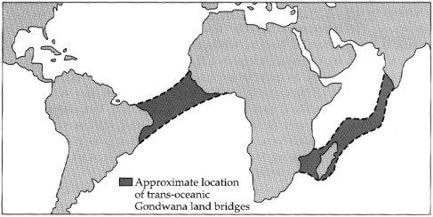 Land bridge from Africa to America forms