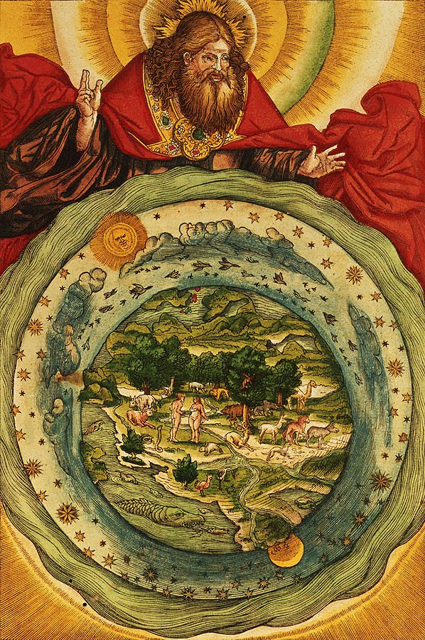 The Creation, from The Lutheran Bible by German School