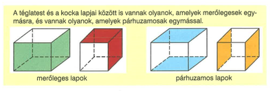 A téglatest és a kocka lapjai