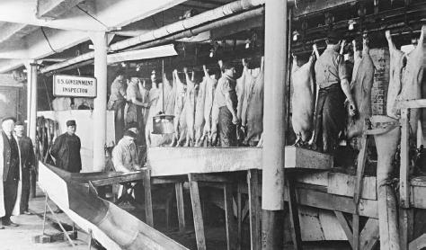 1906 Meat Inspection Act