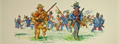 Fight for Texas
