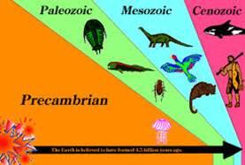 Image how long there was not life before life as we know it began.