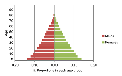 Zero Population Growth: Births equal deaths, no net change.