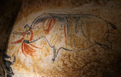 Chauvet cave paintings