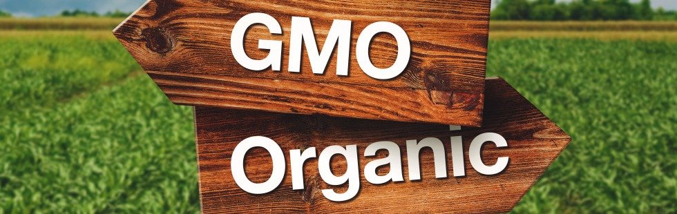 A GMO-k társadalmi elfogadottsága