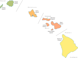 The provisional government then proclaimed Hawaii a republic in 1894 ...