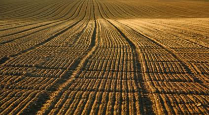 The corn belt - Google Search. (n.d.). Retrieved April 05, 2016, from ...