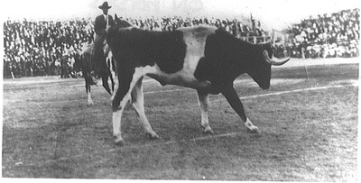 Bevo I